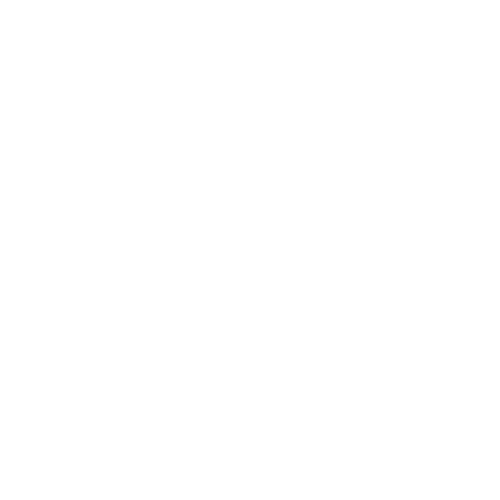 About Us | Auckland One Rail